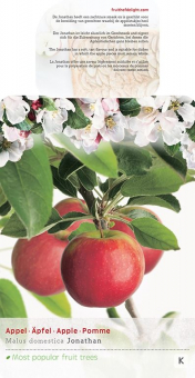 Apfelbaum Malus dom. Jonathan Baum | online kaufen
